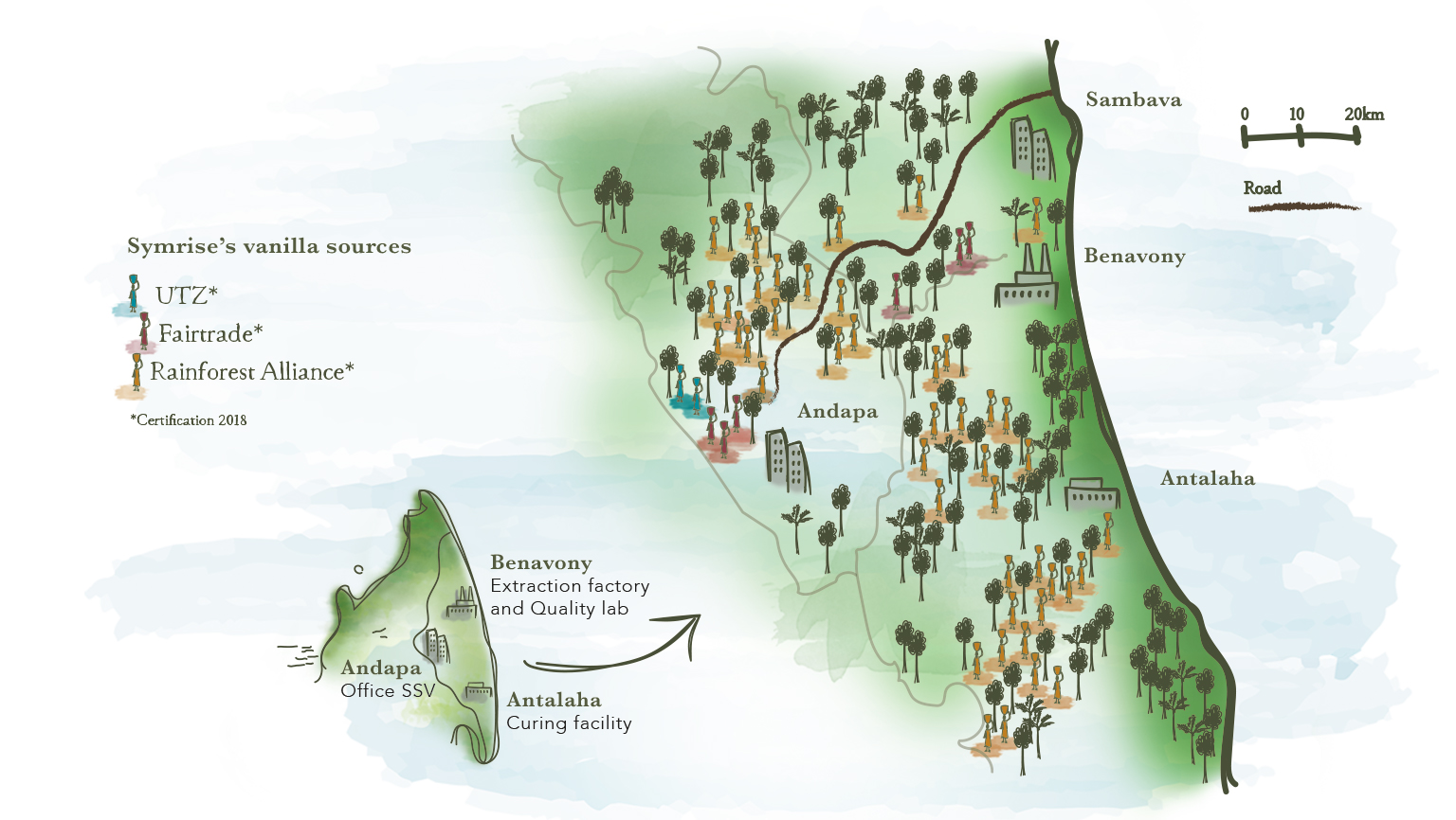 Sustainable cultivation bourbon vanilla - Symrise